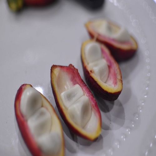 Colapachycarpa fruit plant/exotic fruit plants in kerala- Buy Now