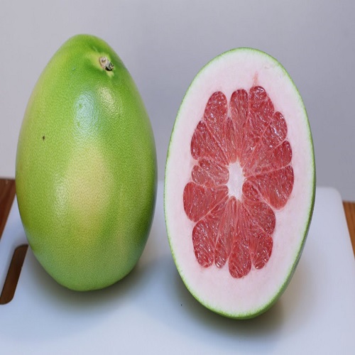 Red pammelo fruit plant/exotic fruit plants in kerala