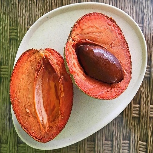 Sapota fruit plant/exotic fruit plants in kerala