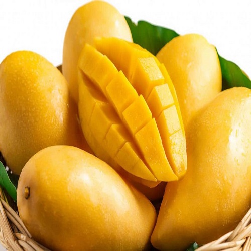 Seedless Mango Fruit -Best Sellers In India- Buy Now